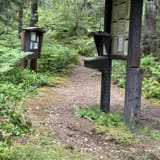 Duckabush River Trail to Five Mile Camp, Washington - 882 Reviews, Map ...
