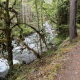 Duckabush River Trail to Five Mile Camp, Washington - 882 Reviews, Map ...