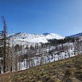 Baker Lake Trail, Idaho - 430 Reviews, Map | AllTrails