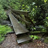 Standing Indian, Mount Albert, Nantahala Basin Loop, North Carolina ...