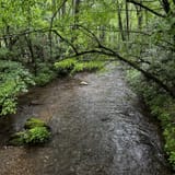 Standing Indian, Mount Albert, Nantahala Basin Loop, North Carolina ...