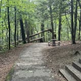 Dukes Creek Trail, Georgia - 3,234 Reviews, Map | AllTrails
