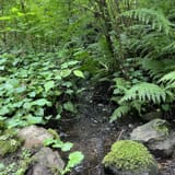 Lord Hill, Main Trail, and Temple Pond Loop Trail, Washington - 1,456 ...