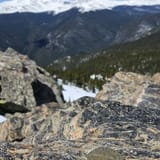 Chief Mountain Trail, Colorado - 8,515 Reviews, Map | AllTrails