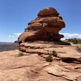 White Rim Overlook Trail, Utah - 2,260 Reviews, Map | AllTrails