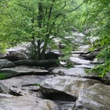 Hebron Falls via Boone Fork Trail, North Carolina - 1,283 Reviews, Map ...