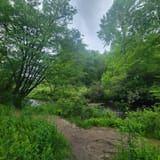 Hebron Falls via Boone Fork Trail, North Carolina - 1,283 Reviews, Map ...