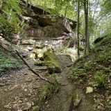 Hemlock Cliffs National Scenic Trail, Indiana - 1,273 Reviews, Map ...