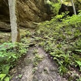Hemlock Cliffs National Scenic Trail, Indiana - 1,273 Reviews, Map ...