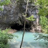 Cave Spring Loop Trail, Missouri - 373 Reviews, Map | AllTrails