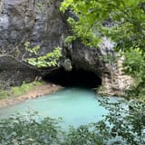 Cave Spring Loop Trail, Missouri - 373 Reviews, Map | AllTrails