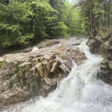 Cascade Brook Trail to Lonesome Lake, New Hampshire - 722 Reviews, Map ...