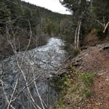 Carter Lake Trail, Alaska - 368 Reviews, Map | AllTrails