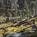 Karst Spring Trail, Alberta, Canada - 913 Reviews, Map | AllTrails