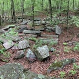 Cumberland Monastery Trail, Rhode Island - 2,066 Reviews, Map | AllTrails