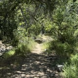 Tenaja Falls, California - 739 Reviews, Map | AllTrails
