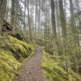 Mount Constitution via Mountain Lake and Little Summit Loop, Washington ...