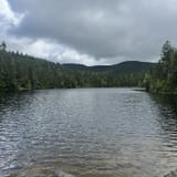 Sterling Pond Trail, Vermont - 2,358 Reviews, Map | AllTrails