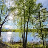 Scout Ridge Trail, Alaska - 280 Reviews, Map | AllTrails