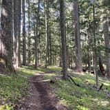 Tire Mountain Trail, Oregon - 149 Reviews, Map | AllTrails