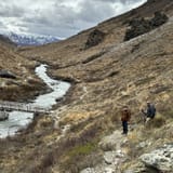 Savage River Loop, Alaska - 1,175 Reviews, Map | AllTrails