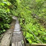 Japanese Gulch Loop Trail, Washington - 1,258 Reviews, Map | AllTrails