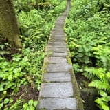 Japanese Gulch Loop Trail, Washington - 1,258 Reviews, Map | AllTrails