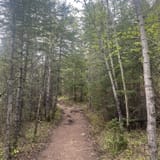 Heart Creek Trail, Alberta, Canada - 3,516 Reviews, Map | AllTrails