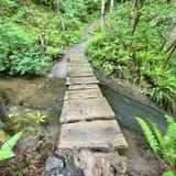 Japanese Gulch Loop Trail, Washington - 1,258 Reviews, Map | AllTrails