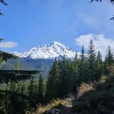 Rampart Ridge Loop, Washington - 2,335 Reviews, Map | AllTrails