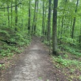 Lonesome Lake Trail, New Hampshire - 3,726 Reviews, Map | AllTrails