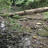 Southern Loop via Western Ridge Trail, Rock Creek, Valley Trail ...