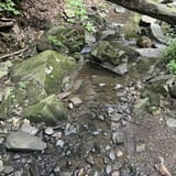 Southern Loop via Western Ridge Trail, Rock Creek, Valley Trail ...