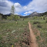 Purgatory Trail, Colorado - 1,020 Reviews, Map | AllTrails