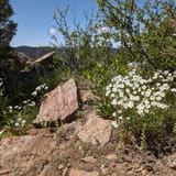 Mount Morrison Trail, Colorado - 5,855 Reviews, Map | AllTrails