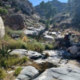 Pima Canyon Trail, Arizona - 3,291 Reviews, Map | AllTrails