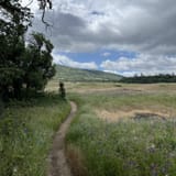Rowena Plateau Trail, Oregon - 845 Reviews, Map | AllTrails
