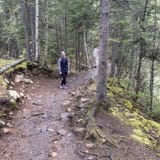 Devil's Kettle, Minnesota - 1,283 Reviews, Map | AllTrails