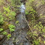 Devil's Kettle, Minnesota - 1,283 Reviews, Map | AllTrails