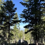 General Grant Trail, California - 2,925 Reviews, Map | AllTrails