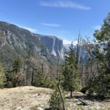 Artist Point Trail, California - 1,086 Reviews, Map | AllTrails