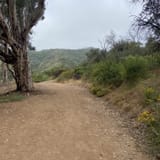 Inspiration Point Loop, California - 4,770 Reviews, Map | AllTrails