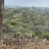 Inspiration Point Loop, California - 4,770 Reviews, Map | AllTrails