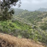 Inspiration Point Loop, California - 4,481 Reviews, Map | AllTrails