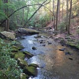 Foster Falls Climbers Loop Trail, Tennessee - 2,001 Reviews, Map ...