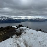 Bird Ridge Trail, Alaska - 1,087 Reviews, Map | AllTrails
