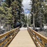 Silver Lake Loop Trail, Utah - 1,662 Reviews, Map | AllTrails