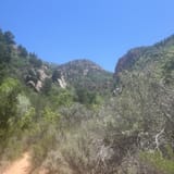Spring Creek Canyon, Utah - 1,351 Reviews, Map | AllTrails