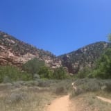 Spring Creek Canyon, Utah - 1,351 Reviews, Map | AllTrails