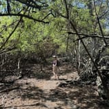 Ka'Awaloa - Captain Cook Monument Trail, Hawaii, Hawaii - 2,993 Reviews ...